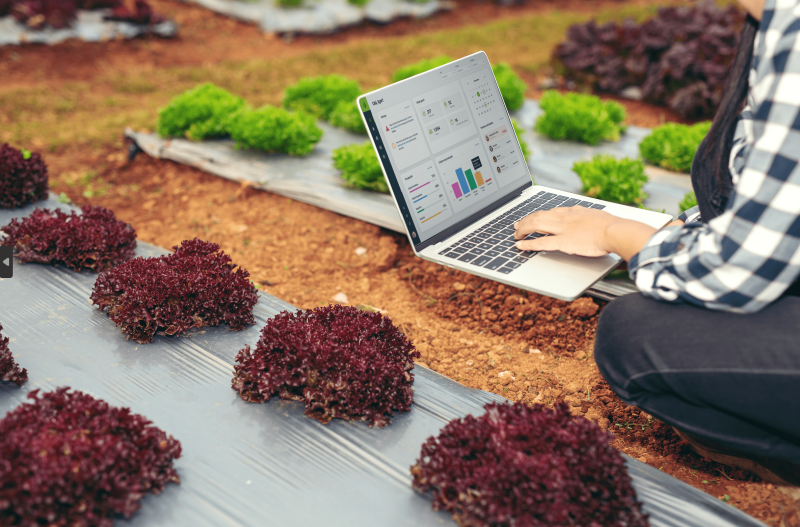 Saiba Como Um Software De Gestão Agrícola Pode Reduzir Os Custos Da Sua